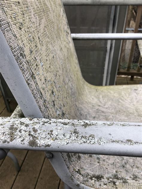How To Get Rid Of Algaemoss On Patio Furniture Rcleaningtips