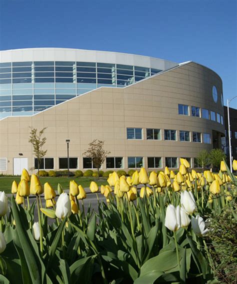 Celebrating Cmu Libraries Employee Accomplishments 2020 2021