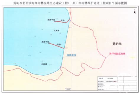 洞头霓屿西北面滨海红树林湿地生态建设工程一期红树林维护通道工程海域使用权申请公示