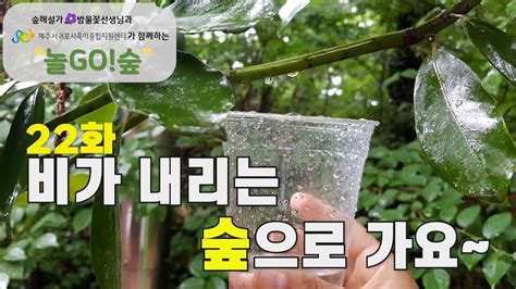 [놀go 숲] 22화 비가 내리는 숲으로 가요 ㅣ숲체험ㅣ공원놀이ㅣ자연체험ㅣ여름숲ㅣ자연놀이ㅣ자연친화교육ㅣ제주탐방ㅣ가족ㅣ나들이ㅣ