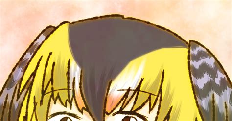 けものフレンズ はぇ？ 八咫日和岡咲宇佐美のイラスト Pixiv