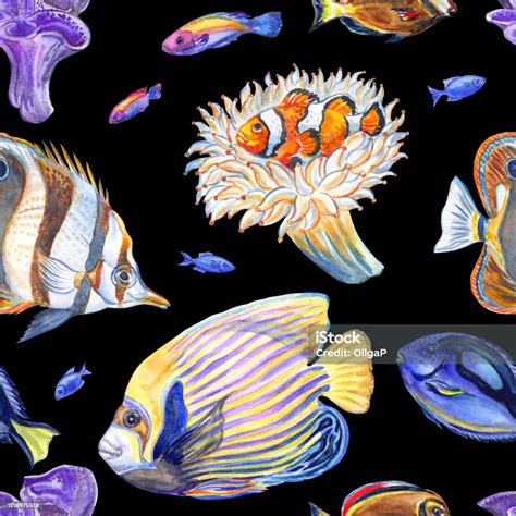 黒い背景に海魚サンゴアソギンチャクのシームレスなパターン まぶしいのベクターアート素材や画像を多数ご用意 まぶしい イソギンチャク
