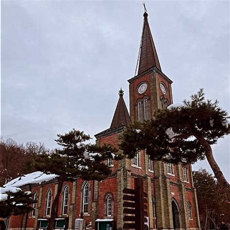 박지영 장비빨 작업개시전 이제시작해볼까 파버카스텔폴리크로모스 너만믿는다 세화아카데미 세화회 보태니컬아트 꽃