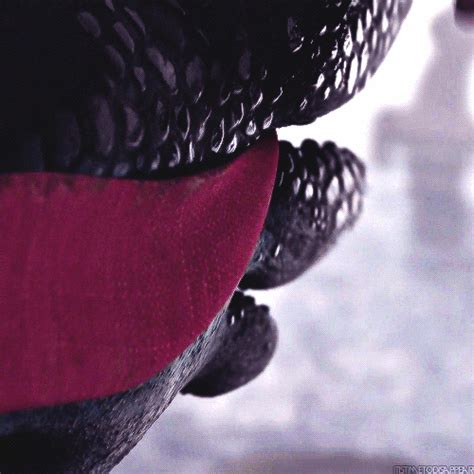 110 Toothless Ideas How Train Your Dragon Toothless How To Train