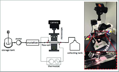 Scheme Of The Experimental Setup Left Photo Of The Microscope And Download Scientific