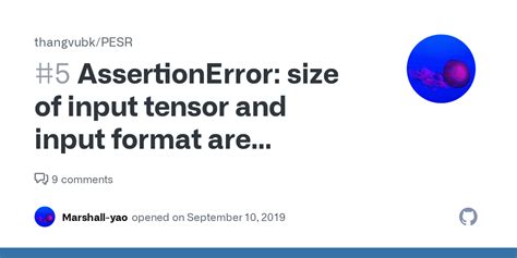 Assertionerror Size Of Input Tensor And Input Format Are Different