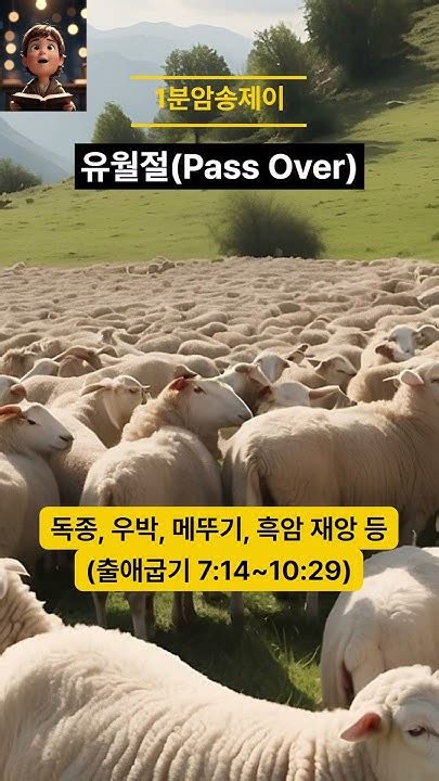 유월절의 의미 Shots Shorts 크리스천 하나님 성경 예수님 기독교 예배 유대인 출애굽 모세 모세