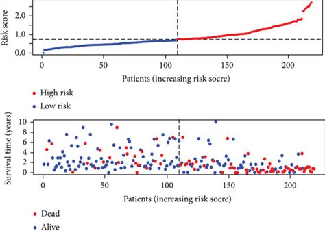 Prognostic Analysis Of The Ferroptosis Related Lncrna Signature Model