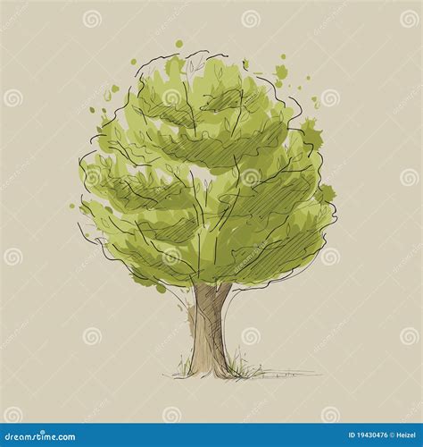 Summer Tree Drawing Wallpapers Gallery