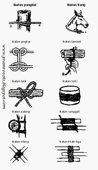 Macam Macam Dan Bentuk Tali Temali Macam Macam Simpul Dalam Pramuka