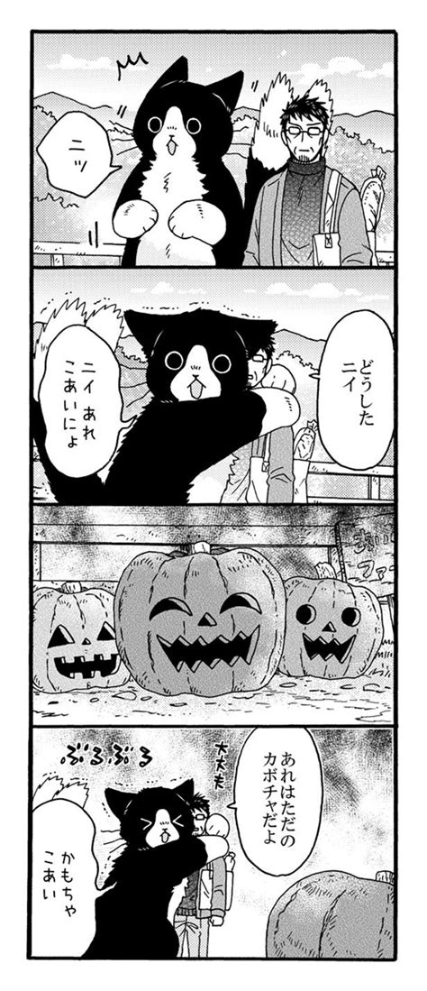＜画像17 41＞妻に先立たれ1人残された夫と、猫又になって寄り添う飼い猫ニイの田舎暮らしご飯漫画「ねこまたとあさごはん」がかわいい尊い