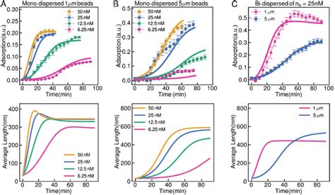 Modeling Predictions Are In Good Agreement With Time Dependent Download Scientific Diagram