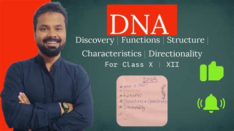 Directionality Of Dna