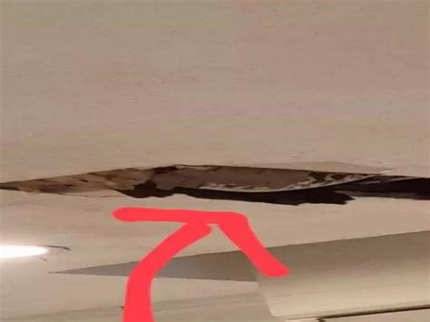 रेस्त्रां के पंखे से आ रही थी अजीबोगरीब आवाज अचानक नीचे गिर गया पंखा