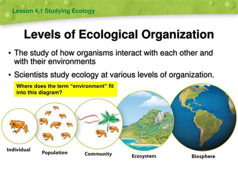 Ppt Population Ecology Powerpoint Presentation Free Download Id