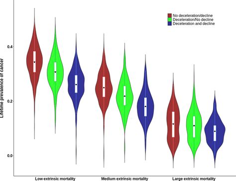 Lifetime Prevalence Of Cancer Is Affected By Life‐history Traits Here