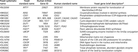 Human Cdnas That Complement Essential Yeast Deletion Mutants Download