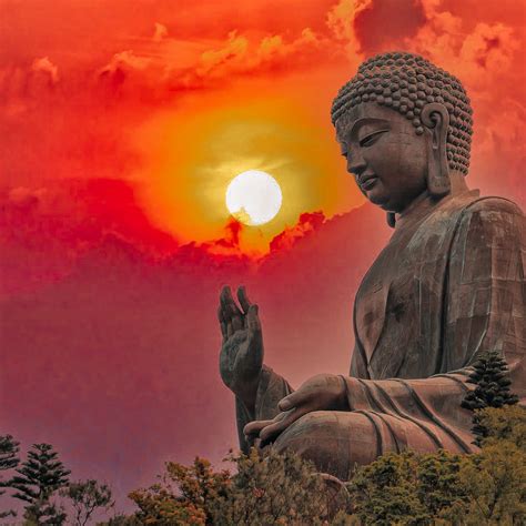 🙏 නිවනට යන මග 🙏