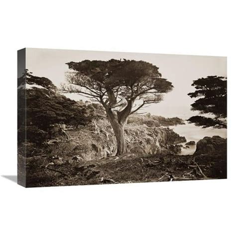 Global Gallery 22 In Cypress Point Monterey California About