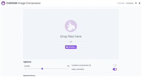 Complete Guide How To Use Caesium Image Compressor Artistudio