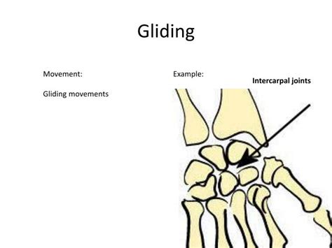 Ppt Types Of Synovial Joints Powerpoint Presentation Id 2504512