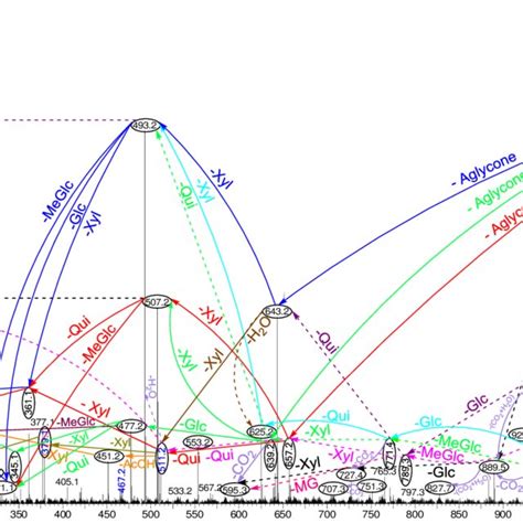 Figure S3 Ion Fragmentation Pathways Of The Precursor Ion At Mz