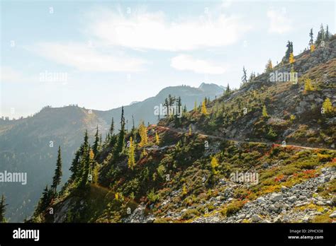 Woman Hiking On Maple Pass Trail In Cascades National Park Washington