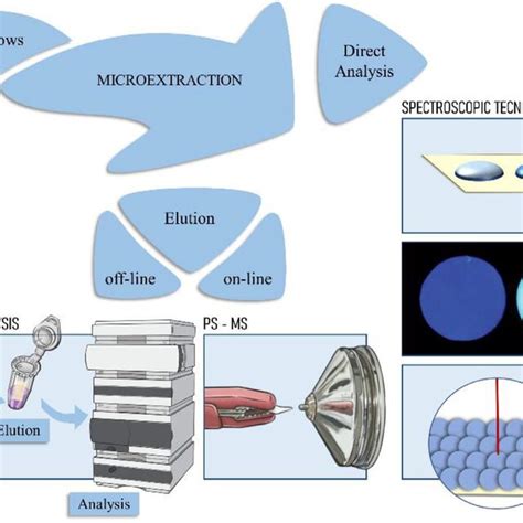 Schematic Representation Of The Main Workflows That Can Be Used To