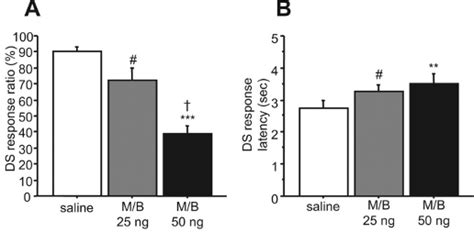 Limbic Interactions Of The Dorsal Medial Prefrontal Cortex The Other Lobe Of The Brain