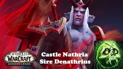 데나트리우스 영웅 부죽 부정죽기 나스리아 성채 영웅 Wow Unholy Dk Casthle Nathria H Sire