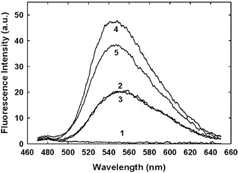 Fluorescence Spectra Of Trwb Bound Tnp Atp In The Presence And Absence