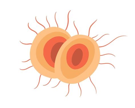 Premium Vector Vector Isolated Illustration Of Gonorrhea Pathogen