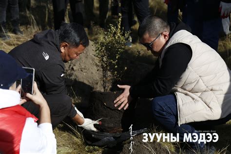 ФОТО Зууны мэдээ сонин Найрамдлын төгөл д модтой болов