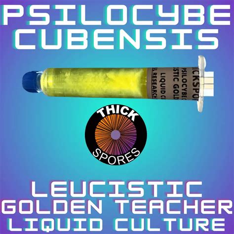 Leucistic Golden Teacher Liquid Culture 10cc Thick Spores