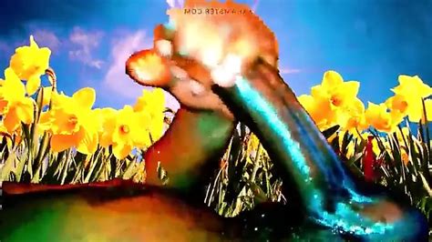 Afrikaner Schwul Porno Videos Xhamster