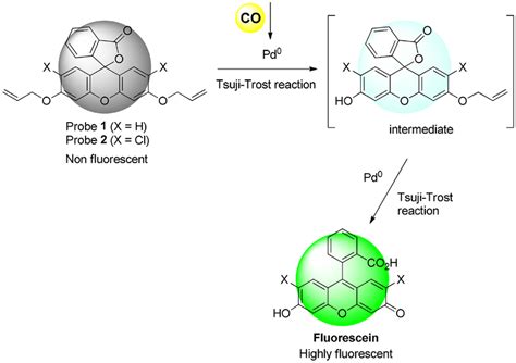 Fluorescein Probe 70 Used For Co Detection “ Reproduced With