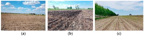 Agricultural Application Prospect Of Fully Polarimetric And Quantification S Band Sar Subsystem