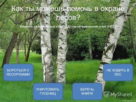 Природа В Опасности Презентация 3 Класс Tentechnic