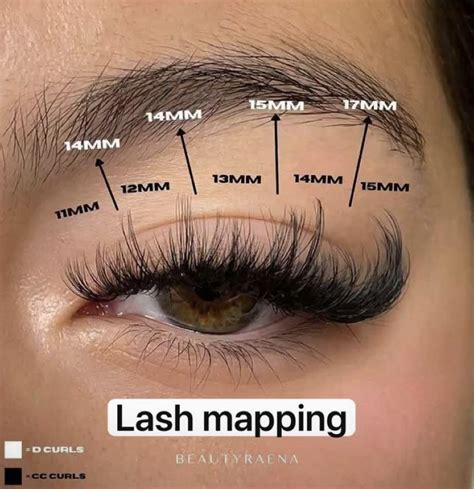 Lash Map For Wispy Strip Lash Style Extensions Artofit
