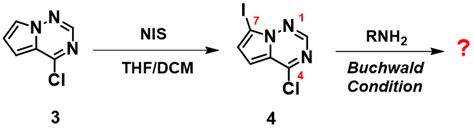 Unusual Reactivities Of Polyhalogenated Heteroaromatic Substrates Are