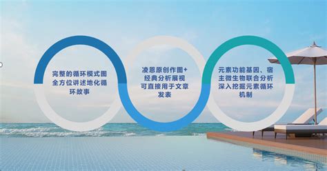 凌恩生物美文分享 提升科研有一套 宏基因组磷循环分析又出新 知乎