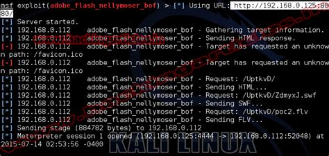 Exploit Remote Pc Using Adobe Flash Player Nellymoser Audio Decoding Buffer Overflow Hacking