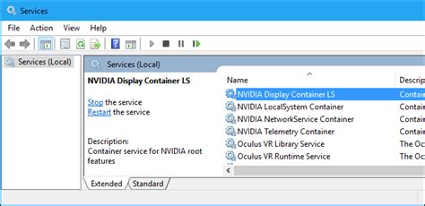 Container Nvidia