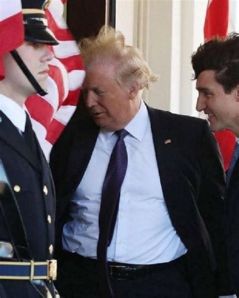 The Trump Presidency Page 442 Lpsg