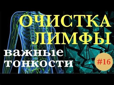 ОЧИСТКА ЛИМФЫ - ВАЖНЫЕ ТОНКОСТИ !!! - YouTube