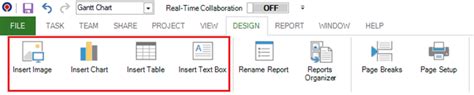 Visual Reports Project Plan 365