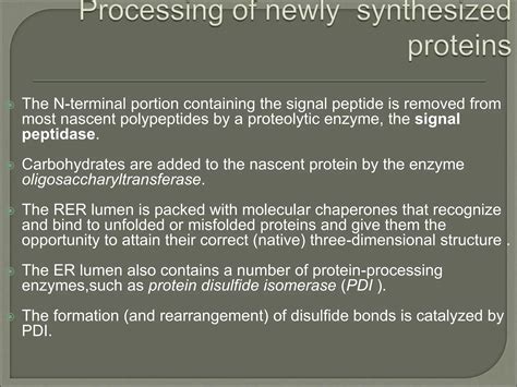 Membrane Protein Synthesis By Ppt