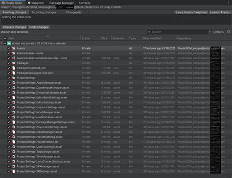 5如何Push提交一个Checkin到我的Branch China Unity PlasticSCM Solution 1 2 0