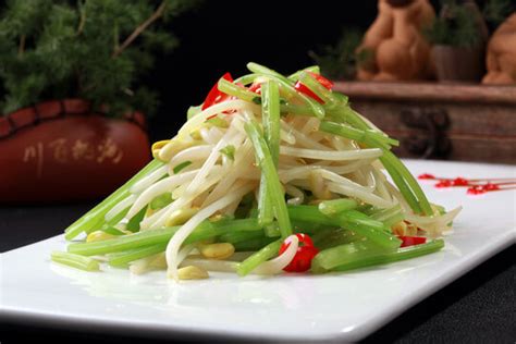 拌豆芽图片素材 拌豆芽设计素材 拌豆芽摄影作品 拌豆芽源文件下载 拌豆芽图片素材下载 拌豆芽背景素材 拌豆芽模板下载 搜索中心