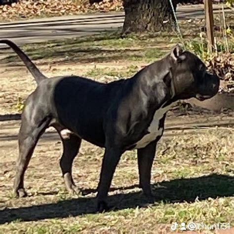 Haley Curfman He Twirls My Hair Around His Finger And Facebook